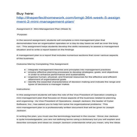 Bmgt 364 assignment 2 mini management plan | DOCX
