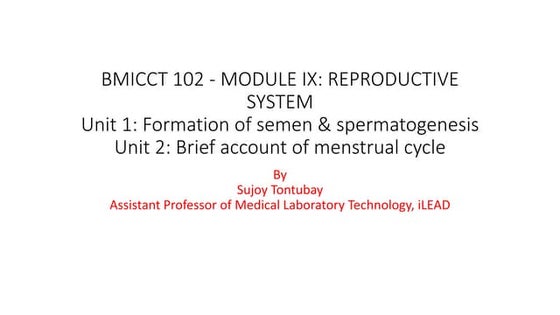 Structure of human sperm and ovum | PPTX | Infertility | Reproductive ...