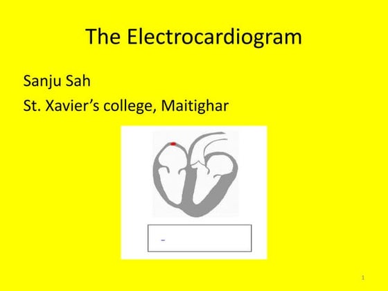 Electromyography (emg) basics | PDF | Medical Tests | Medical Health
