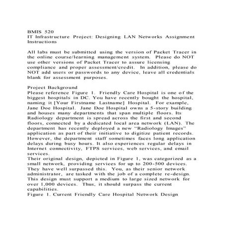 BMIS 520IT Infrastructure Project Designing LAN Networks Assign | DOCX