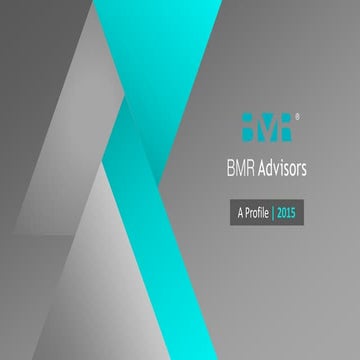 BMR Advisors Credentials | PDF