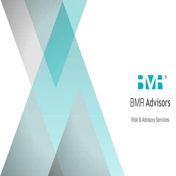 BMR Advisors - Data & Database Services | PPT