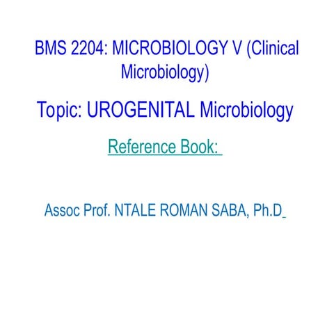 BMS4102 - URINARY TRACT INFECTIONS AND STIS | PPT