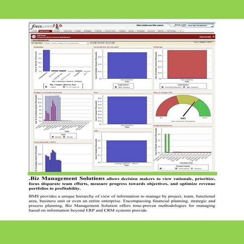 Service Offerings | PDF | Business Accounting & Finance | Business
