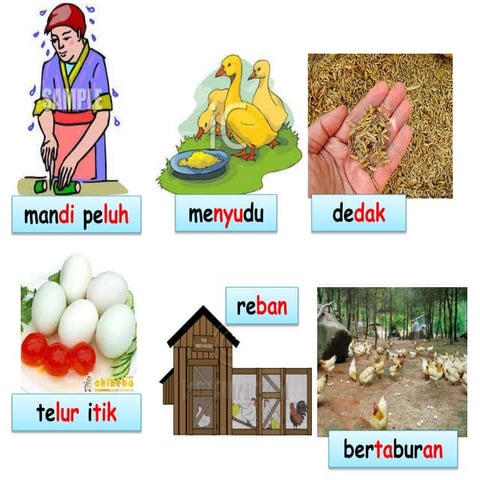 Bmt2 u23-pg103 | PPT