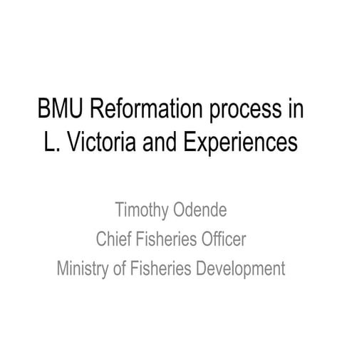 BMU Reformation process in L (2222222).ppt
