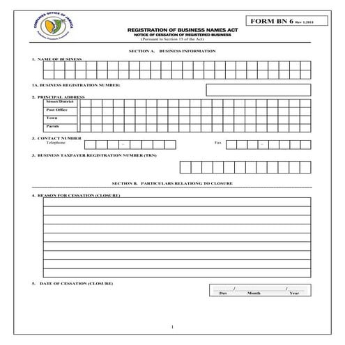 Bn 6 form rev.1.2011