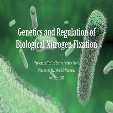Genetics and regulation of Biological Nitrogen Fixation | PPTX