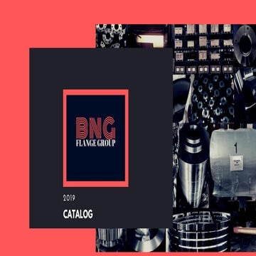 BNG Flange Group.pdf