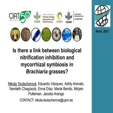 Is there a link between biological nitrification inhibition and ...