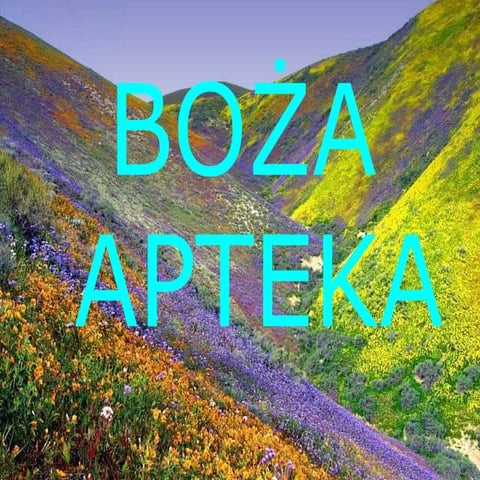 Boża apteka | PPS