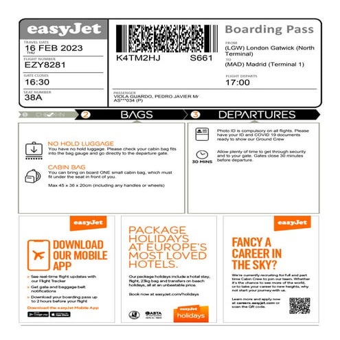BoardingPass.pdf