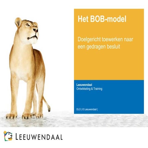 Bob model bij groepsbesluiten | PDF