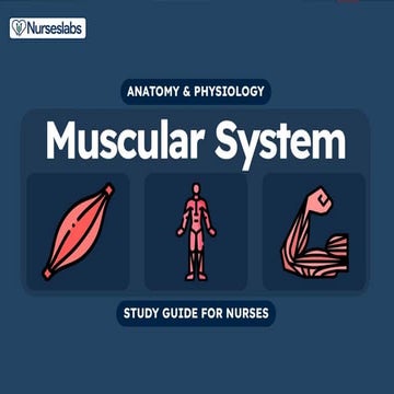 muscular system anatomy and physiology.pptx
