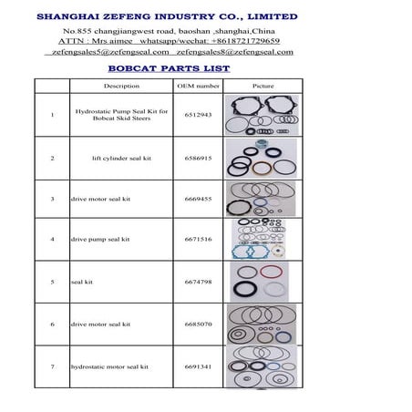 Bobcat parts from ZEFENG manufacturer 2024 | PDF