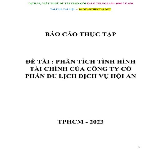 Báo Cáo Thực Tập Phân Tích Tình Hình Tài Chính Của Công Ty Du Lịch | DOC