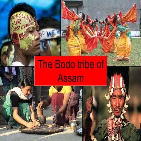 A study of the local tribes of Assam - Bodo under ISA by the students ...