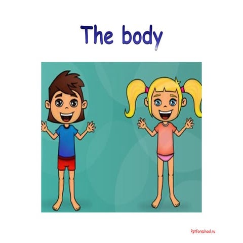 Body | PPT
