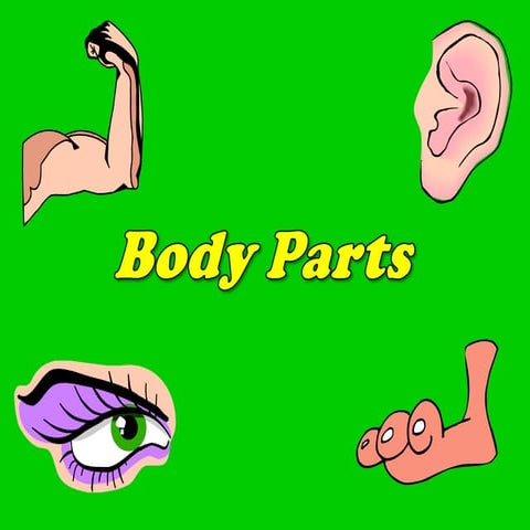 Body parts powerpoint | PPT