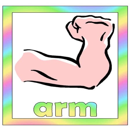 Body flashcards | PDF