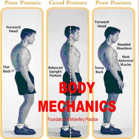body mechanics and transfer techniques | PDF