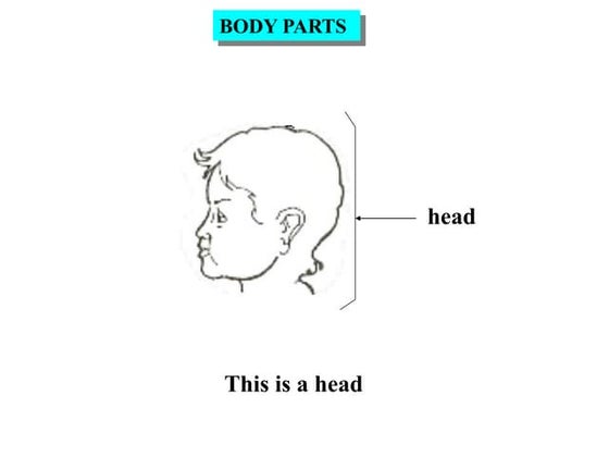 Body parts and face | PPT