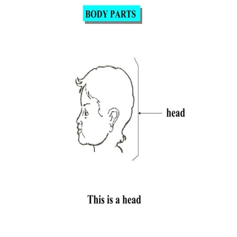 Body parts | PPT