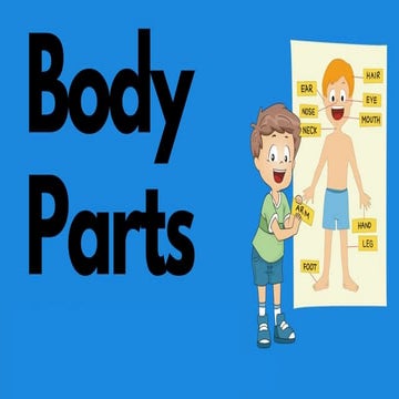 Body parts-ppt body parts last | PPT