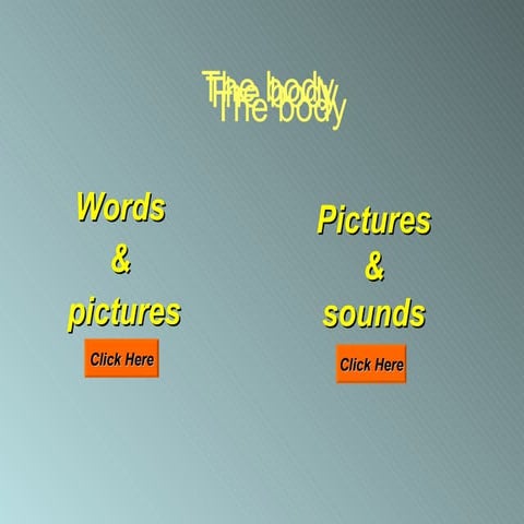 Body Parts - Primary 3 | PPS