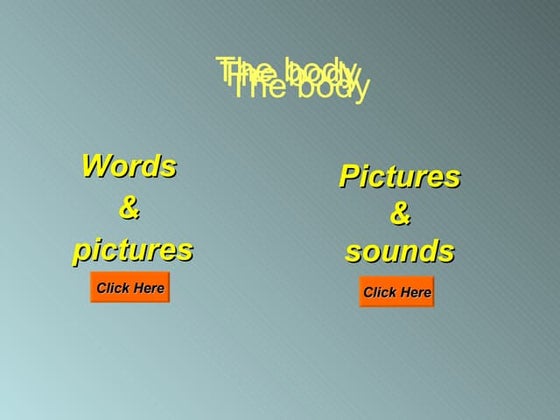 Our body | PPT | Death, Injury, or Military Conflict | Sensitive Topics