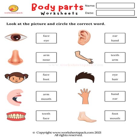 Body-parts-worksheets-circle-the-correct-word.pdf