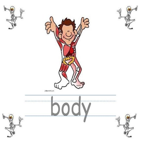 Body Flashcards | PPT