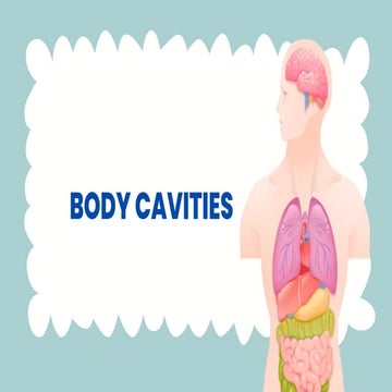 Body Cavities in english 1er semestre de medicina | PDF