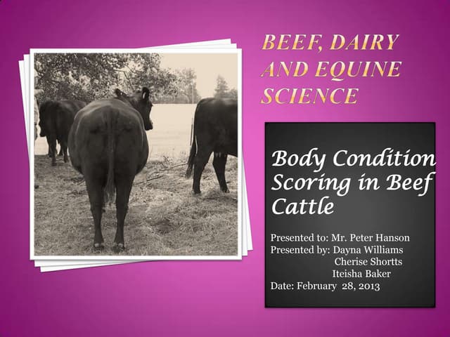 Beginner's Guide to Body Condition Scoring | PPT