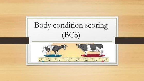 Beginner's Guide to Body Condition Scoring | PPT