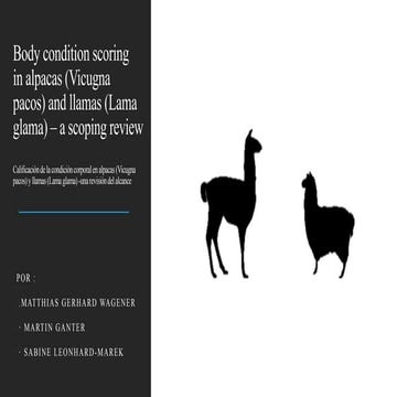 Body condition scoring in alpacas (Vicugna pacos.pptx