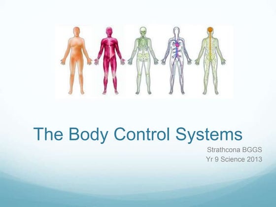The nervous system b1 | PPT