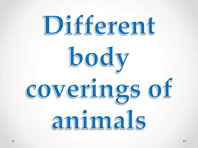 Animal parts and their functions | PPTX