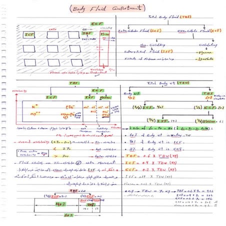 Body fluid compartments made easy | PDF