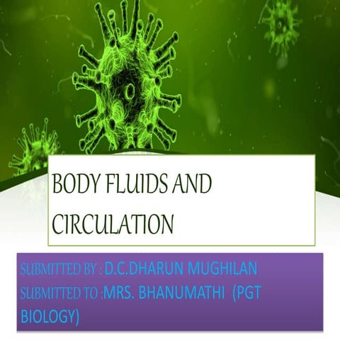 CLASS 11 TH Body fluids and circulation | PPTX