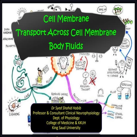 Comprehensive Overview of Cell Membrane Transport and Body Fluid ...