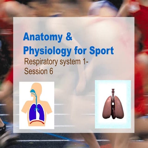 Body in sport session 5,6,7 | PPT