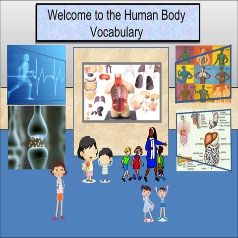 Organs Human Body Quiz Presentation in a Bold Style.pptx
