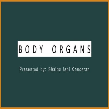 Body Organs.pptx