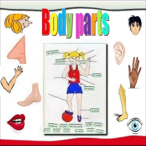 Body parts | PPT