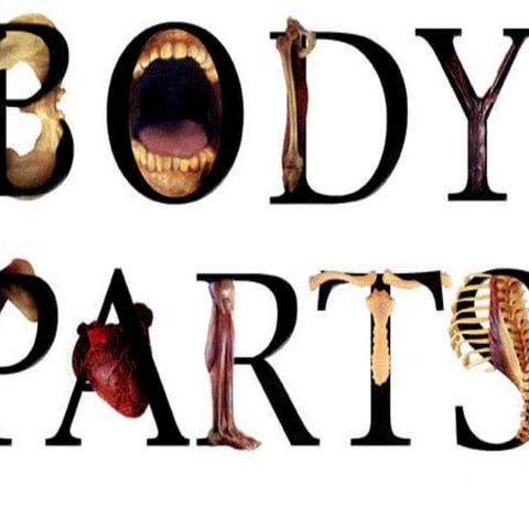 Body parts | PPT
