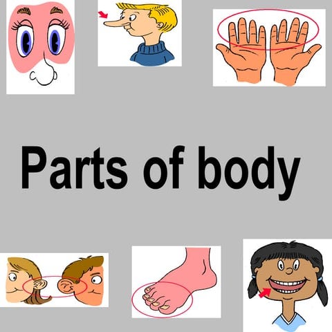 Parts of Body | PPT