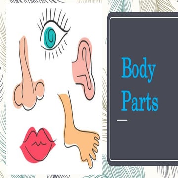 Body parts | PPT