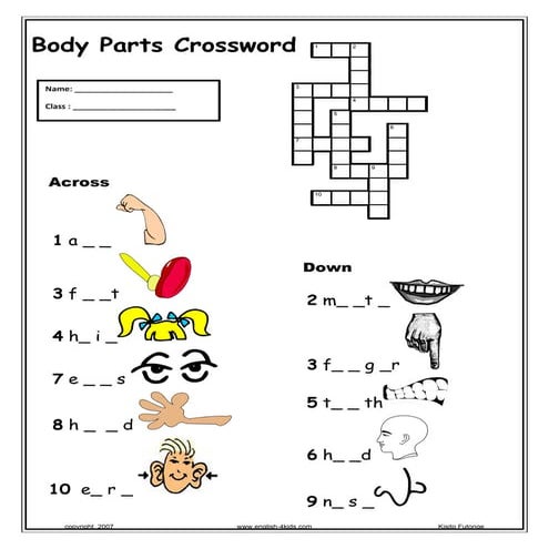 Body parts crossword | PDF