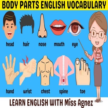 BODY PARTS ENGLISH VOCABULARY.pptx